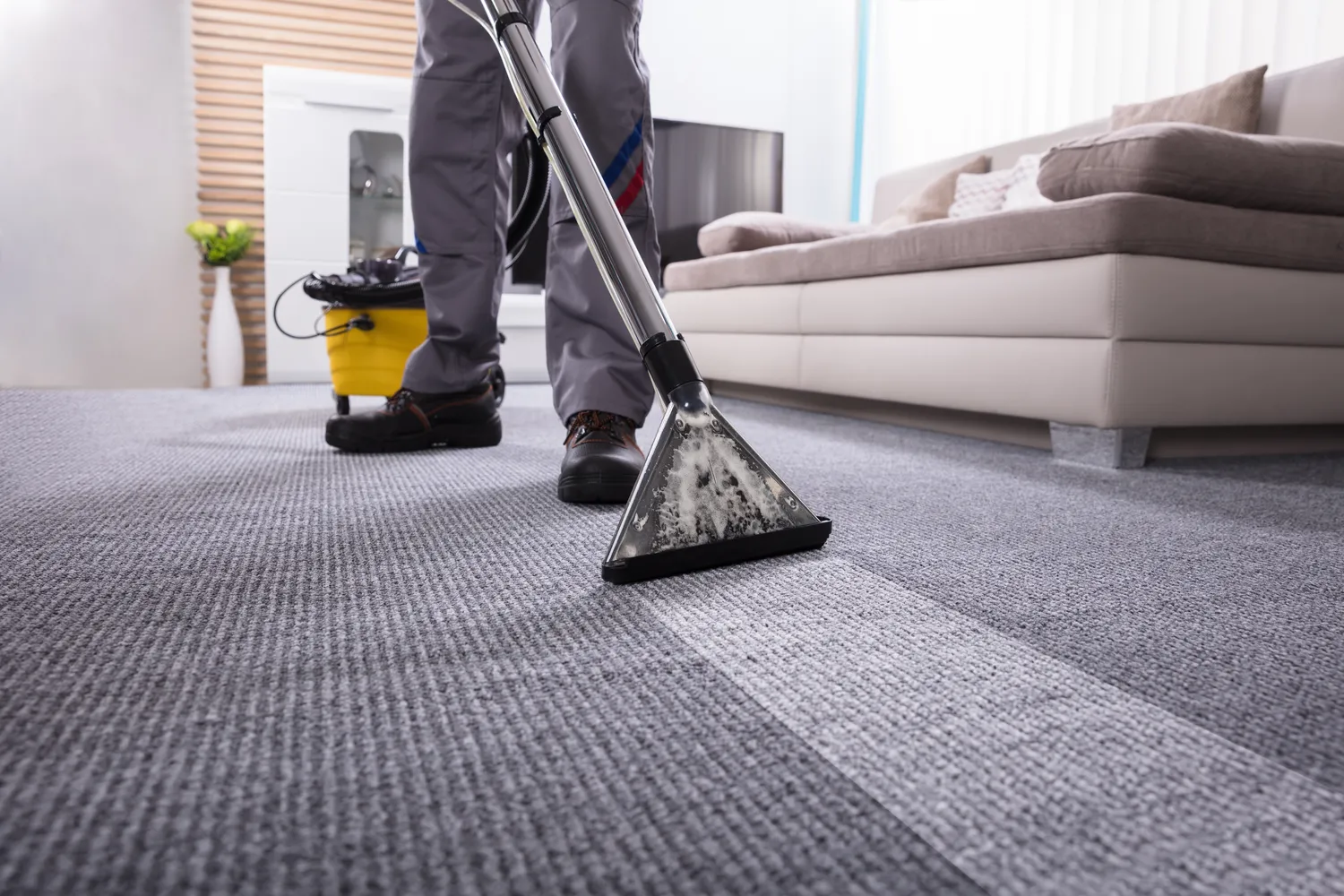 Top Carpet Cleaning, Downers Grove, 60515-2826